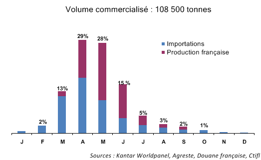 Fruits - Fraise - Mémento Fruits et Légumes - CTIFL